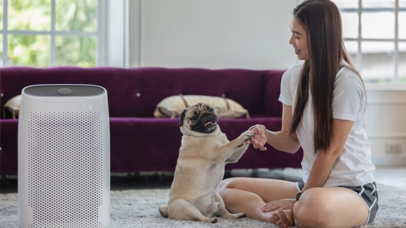 Pet-Proofing Your Space: A Practical Guide to When Air Purifiers Are ...